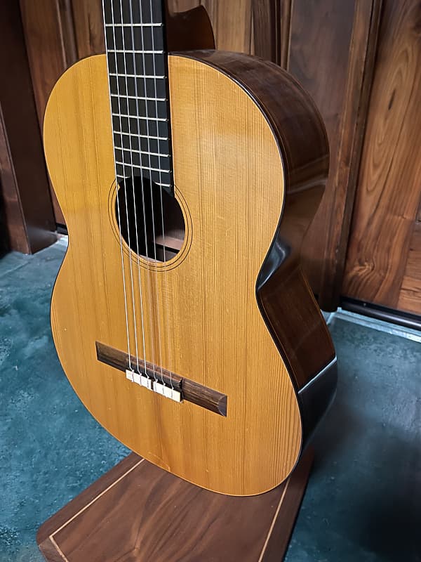 Fernando Estrada Gomez Classical 1995 Natural (VIDEO DEMO)